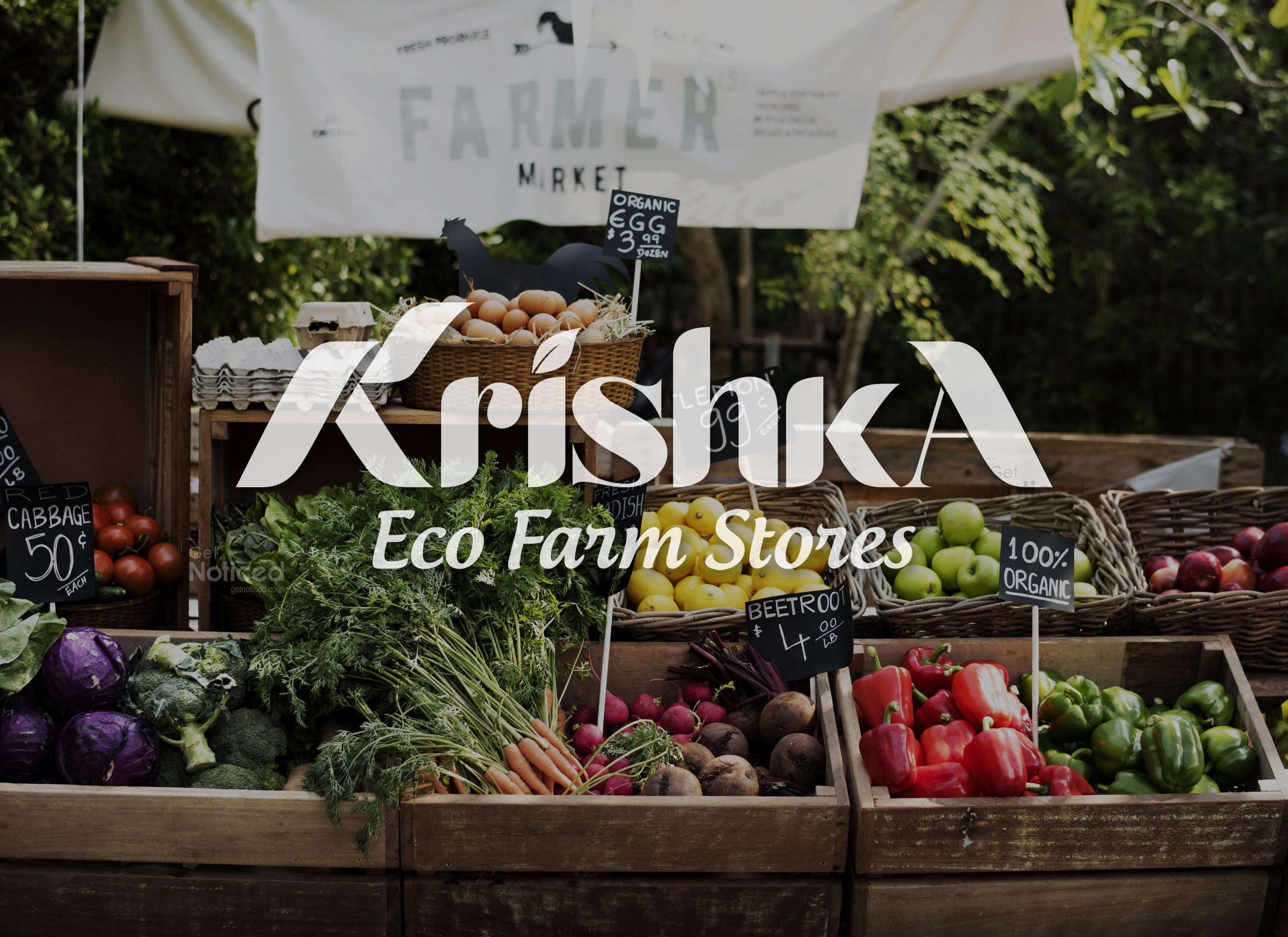 Krishka Logo Design | Getnoticed.co.in