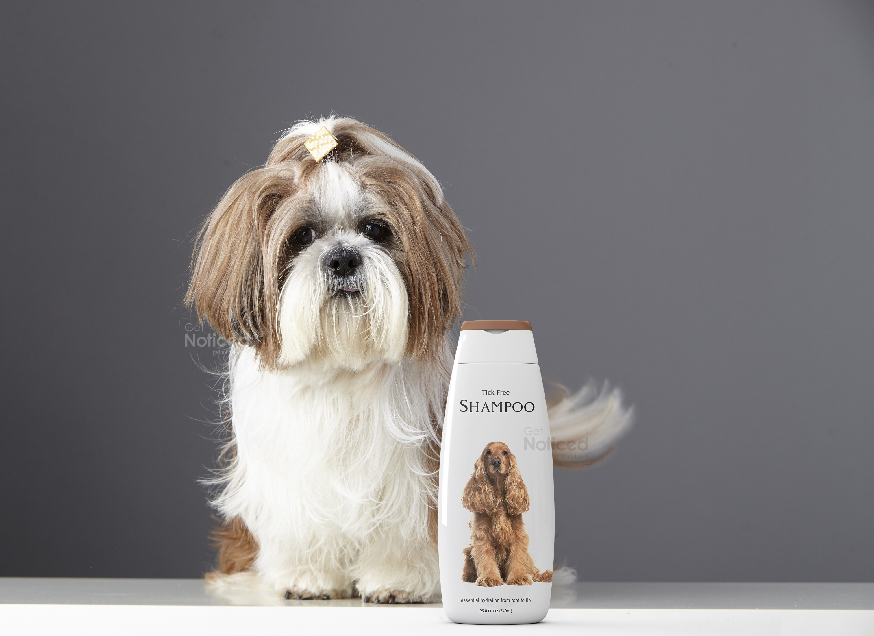 Sky Ec packaging Design | Getnoticed.co.in